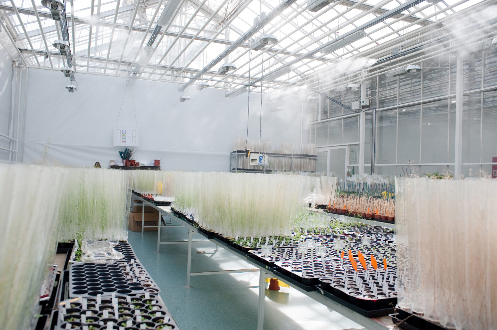 AraSystem Webshop | Complete growth & seed harvesting system.